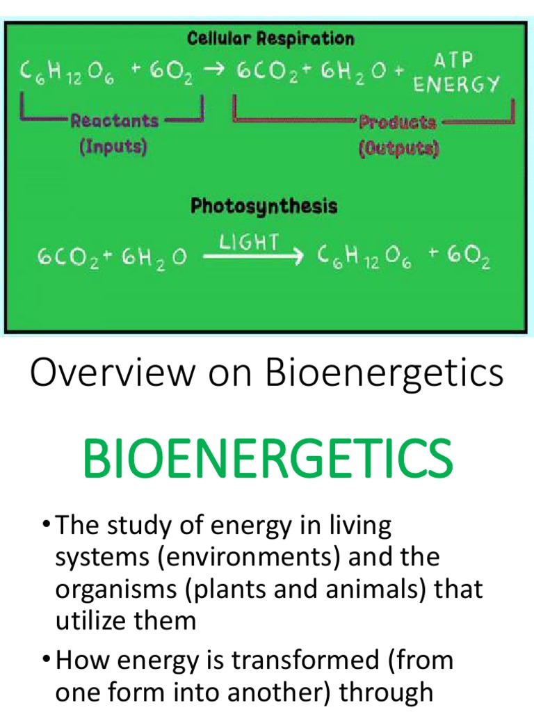 Lesson 7-Overview On Bioenergetics | PDF