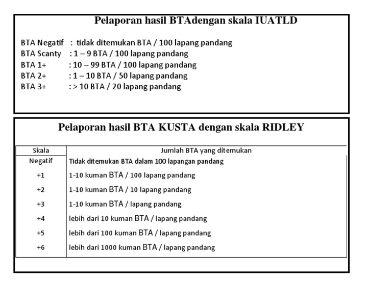 Pelaporan Hasil BTA Kusta dan IUATLD | PDF
