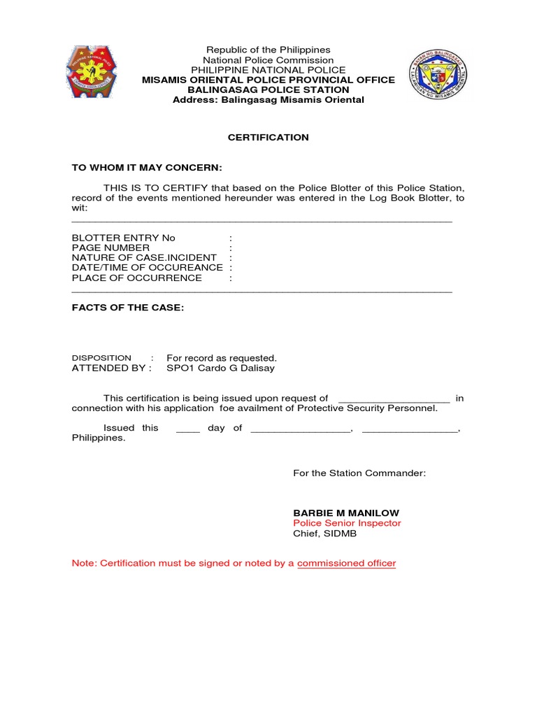Police Blotter Sample | PDF