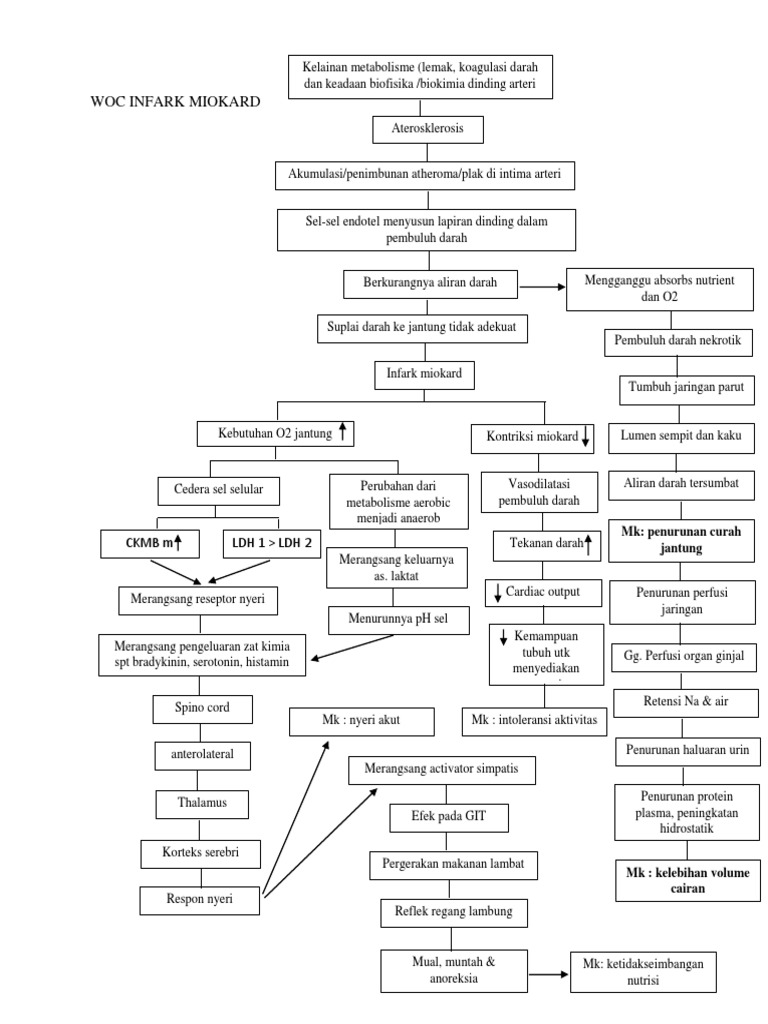 Woc Infark Miokard | PDF