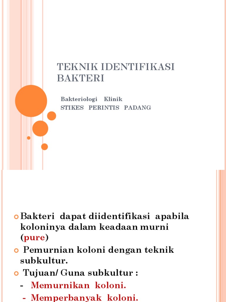 Teknik Identifikasi Bakteri | PDF