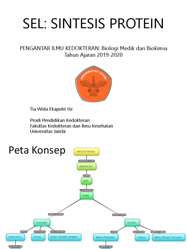 Sel-Sintesis Protein | PDF