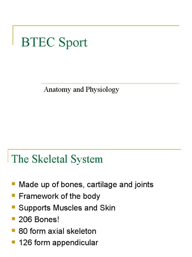 Overview of the Skeletal System | PDF | Anatomical Terms Of Motion ...