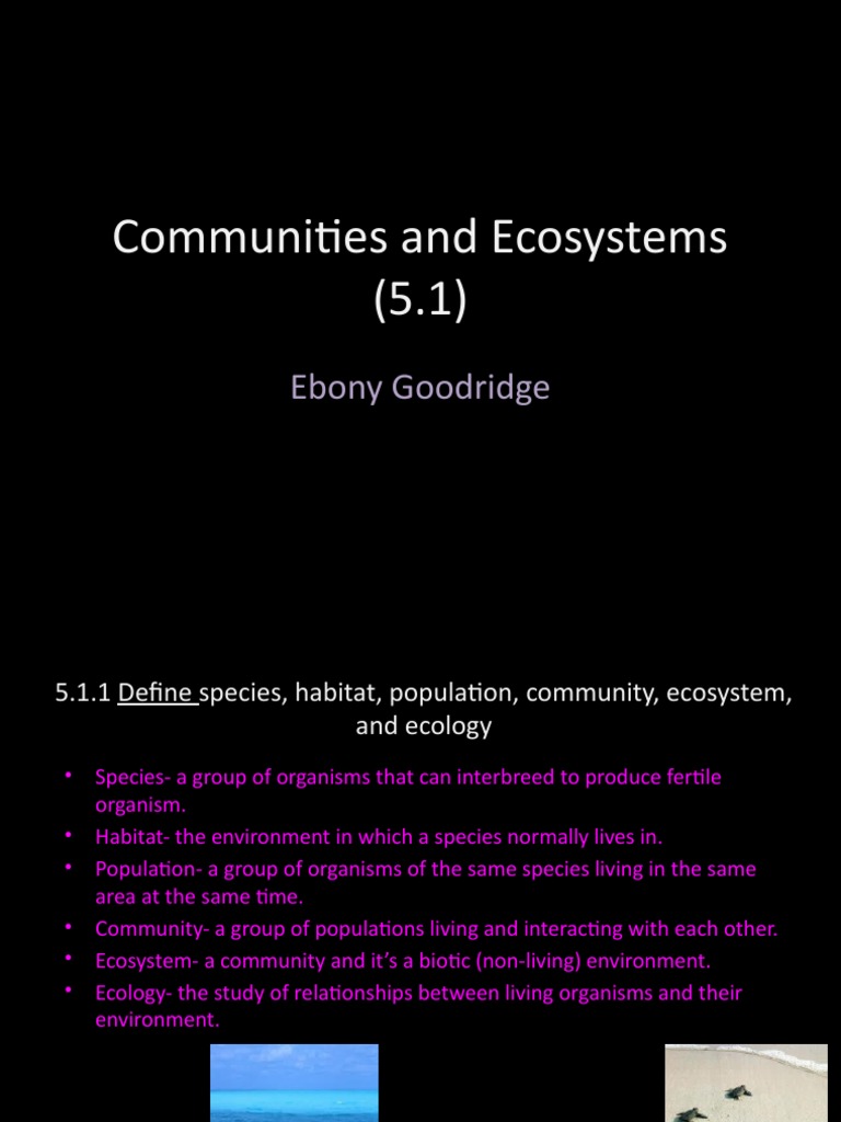 Communities and Ecosystems 5.1 | PDF | Food Web | Ecosystem