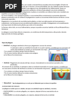 Exposicion Estructuras Geologicas | PDF | Falla (geología) | Estrato