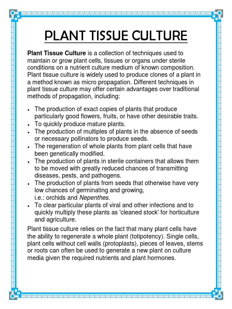 Plant Tissue Culture by Srivathsan PDF | PDF | Biology | Organisms