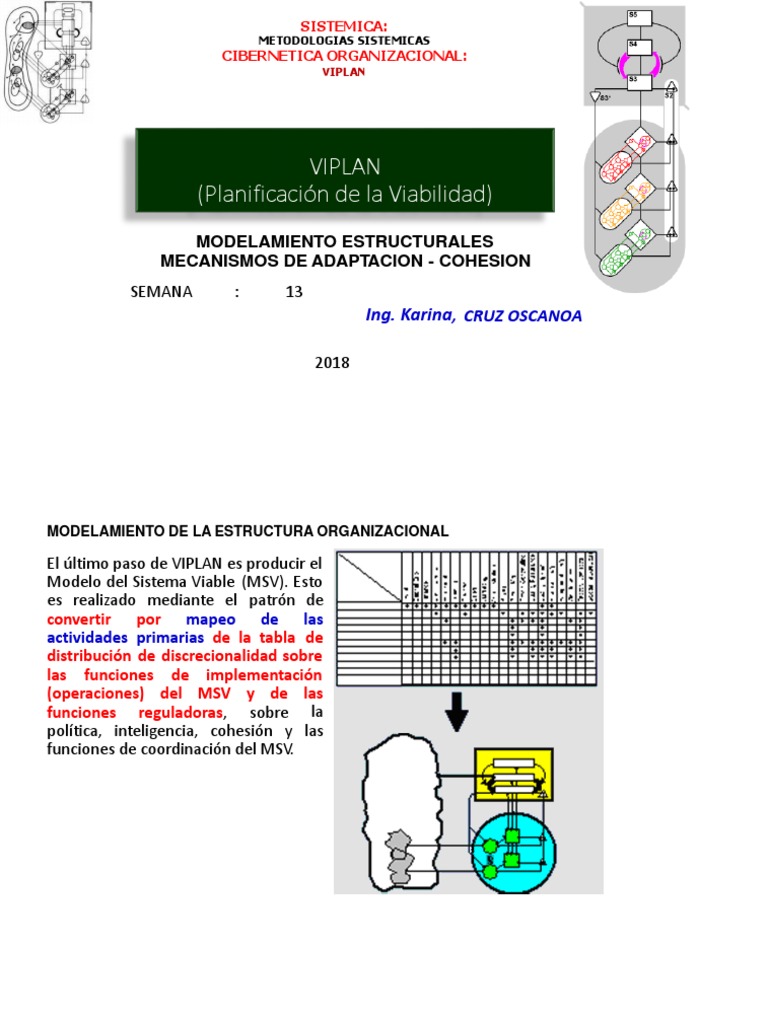 Diseño de Estructura Organizacional UVEG | PDF | Complejidad | Inteligencia