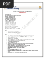 DNeasy Plant Mini Kit Protocol Written by Word Program | PDF