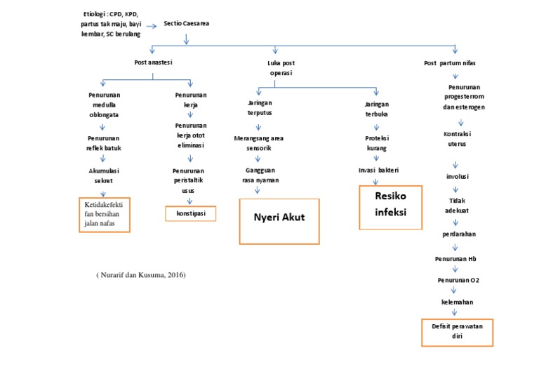 Pathway SC Baru | PDF