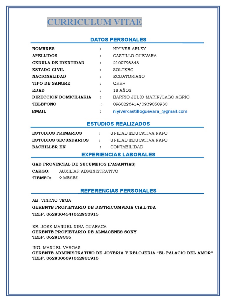 Curriculum Niyiver Castillo | PDF