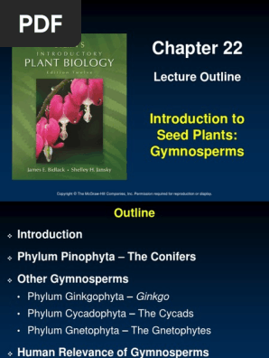 Chapter 22 Lecture Plants