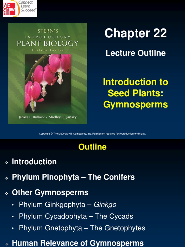 Botany Gymnosperm-22 | PDF | Pinophyta | Branches Of Botany