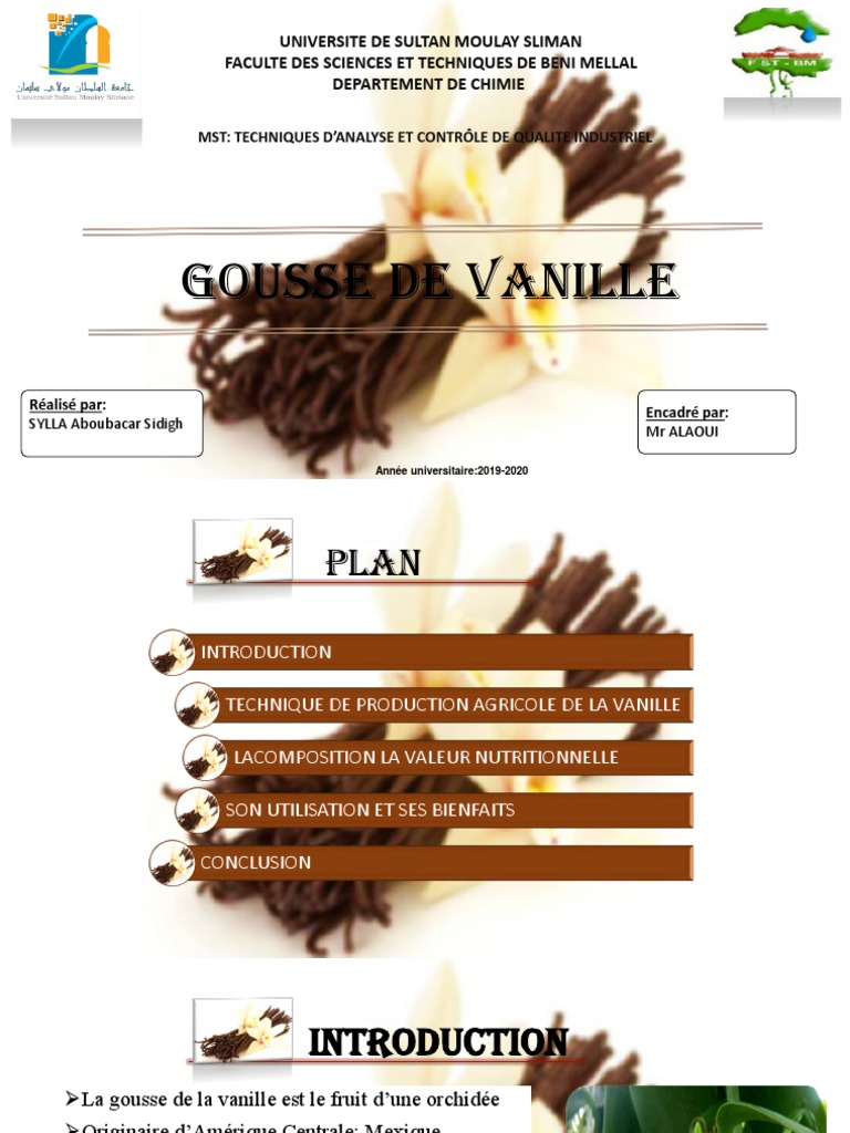 Gousse de Vanille | PDF | Vanille | Branches de la Botanique