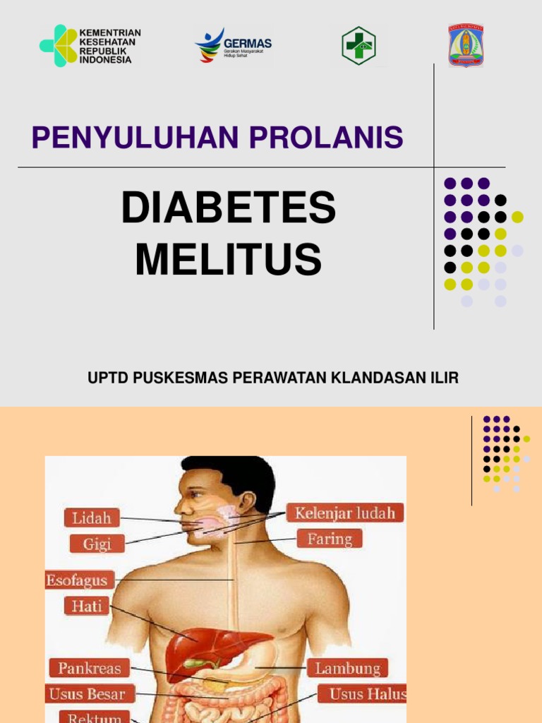 Penyuluhan DM Prolanis | PDF