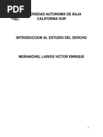 Coercibilidad e Incoercibilidad en Derecho | PDF | Justicia | Crimen y ...
