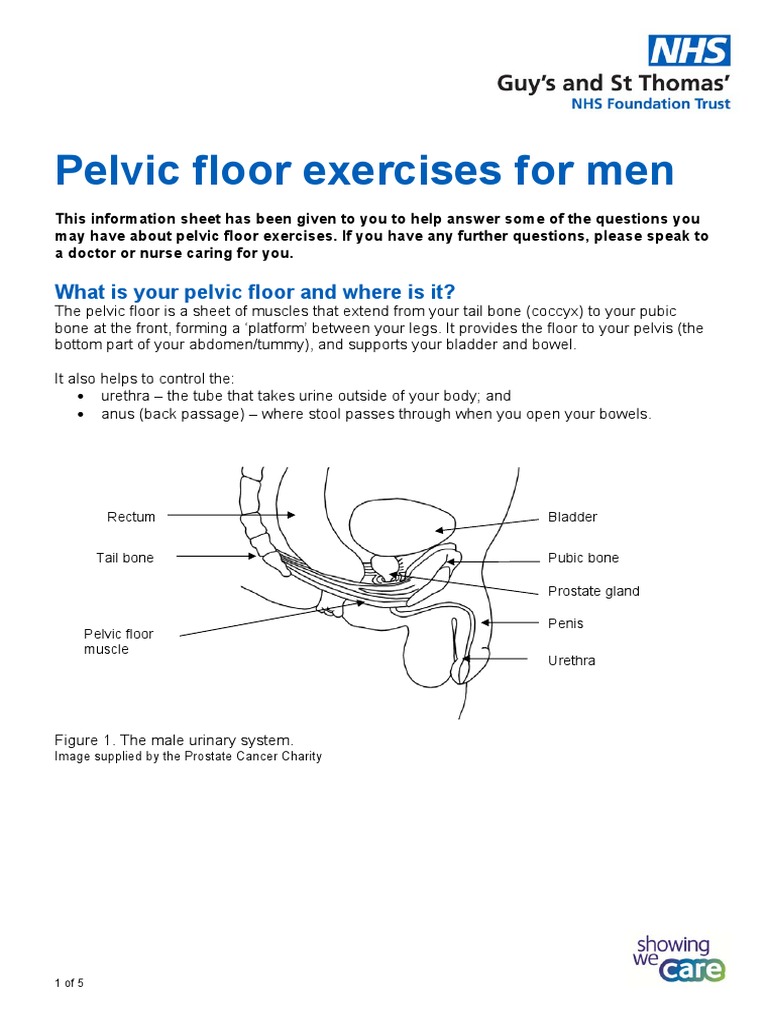 Pelvic Floor Exercises For Men | PDF | Urinary Incontinence | Medical ...
