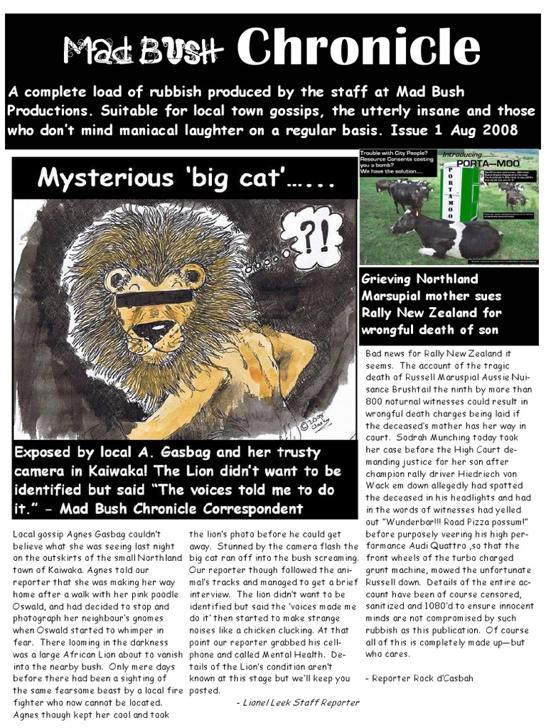 Mad Bush Chronicle Issue 1 | PDF | Violence | Leisure