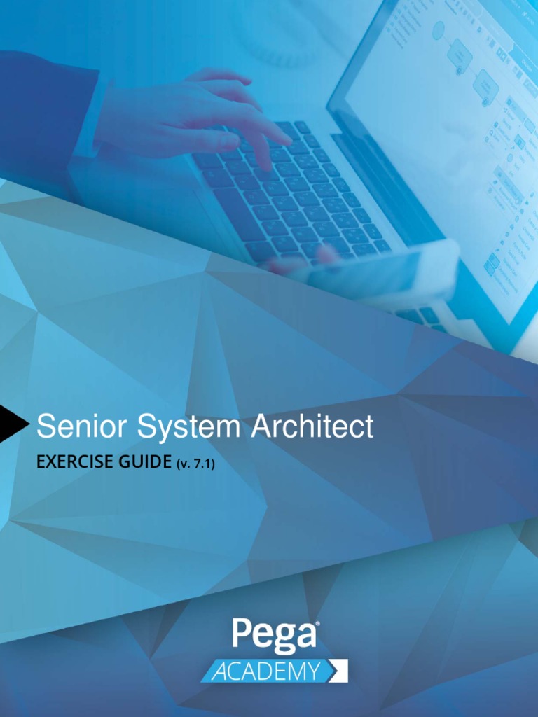 PEGA Case Document PDF | PDF