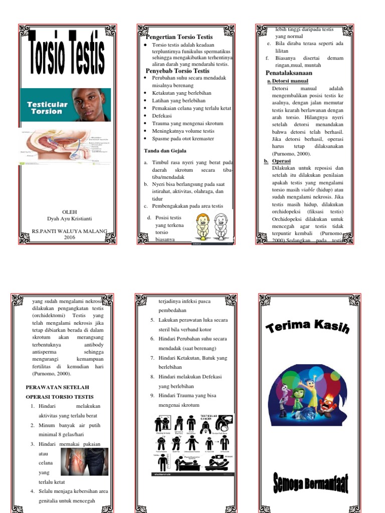 Penanganan Torsio Testis dan Detorsi | PDF