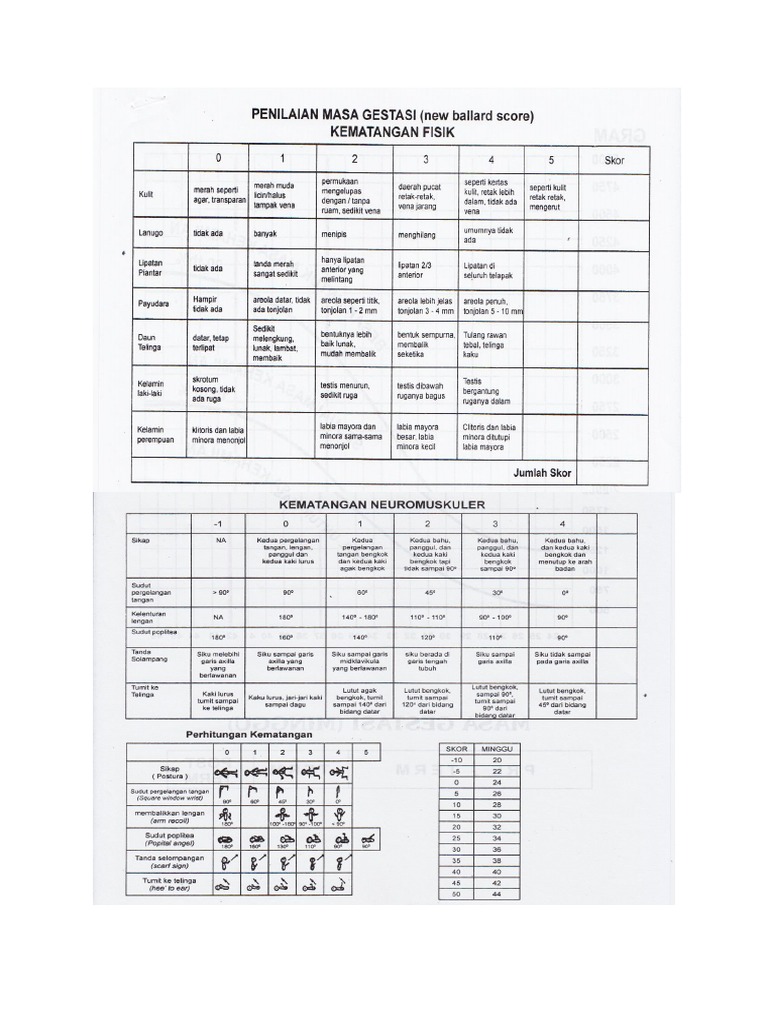 Ballard Score | PDF | Kajian Bahasa Asing