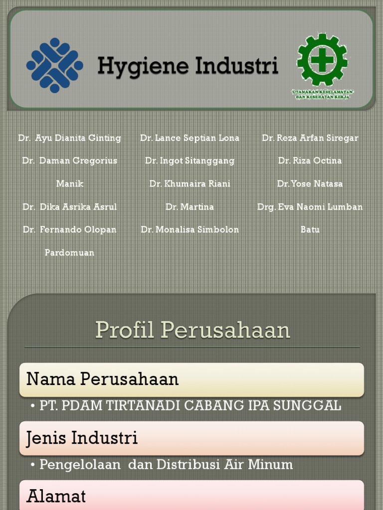 Hygiene Industri | PDF