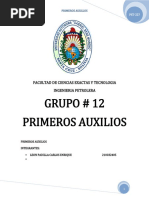Folletos Primeros Auxilios PDF | PDF | Primeros auxilios | Ciencias de la Salud