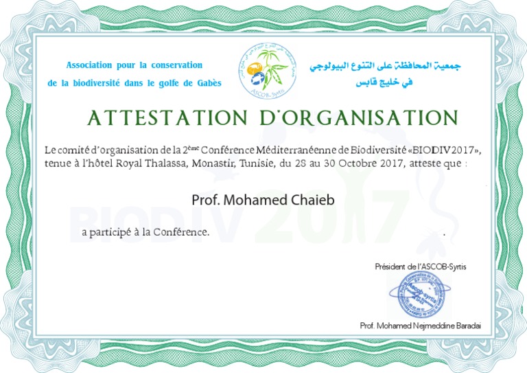 Attestation-Mohamed Chaib | PDF
