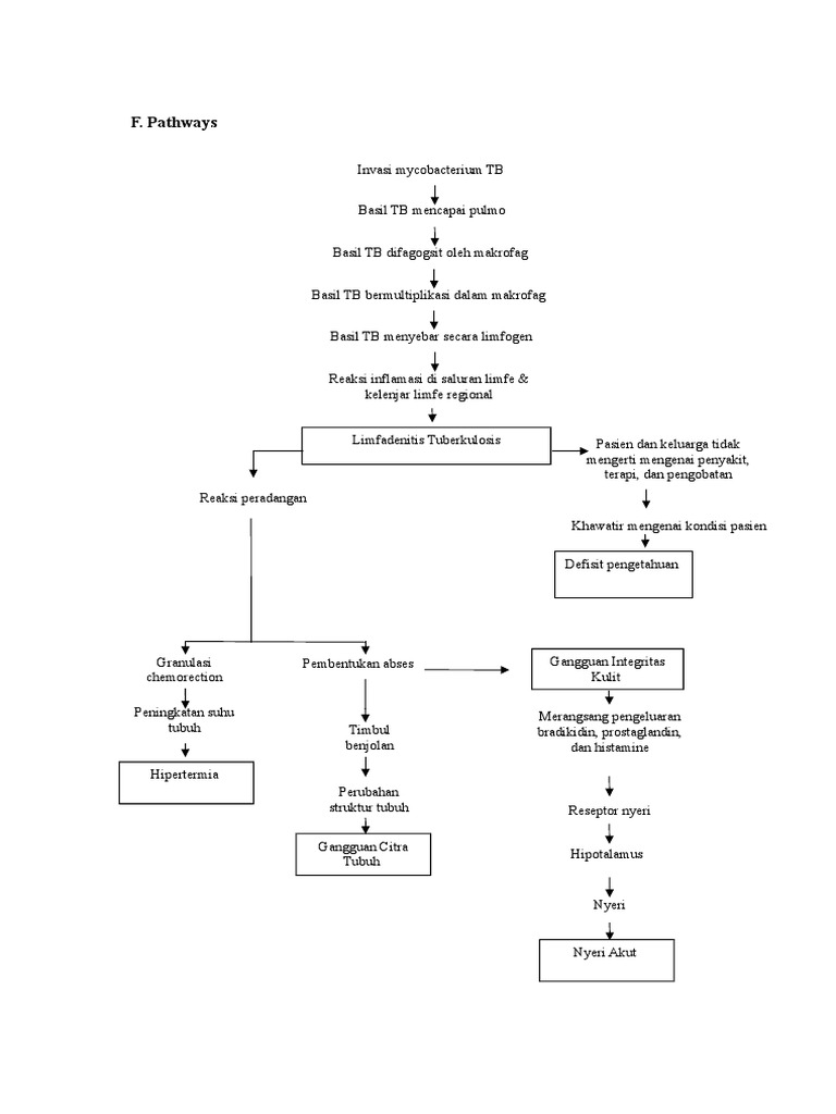 Pathway Limfadenitis TB | PDF