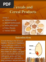 Meat Structure | PDF | Connective Tissue | Meat