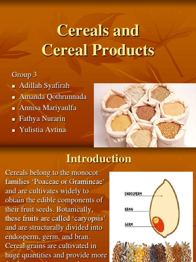 Overview of Cereals and Their Products | PDF | Flour | Pasta