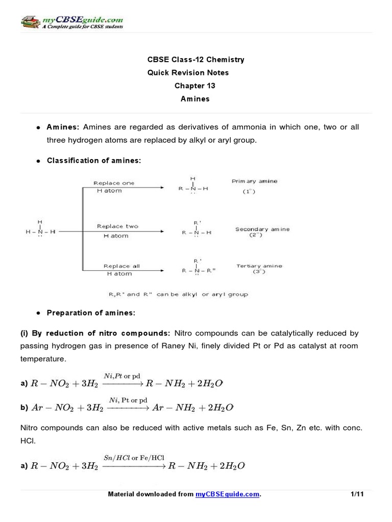 12 Chemistry Notes ch13 Amines | PDF | Amine | Chemical Reactions
