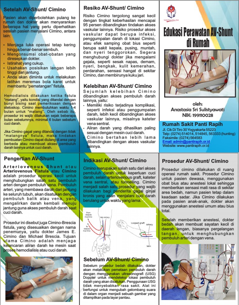 Leaflet AV-Shunt | PDF