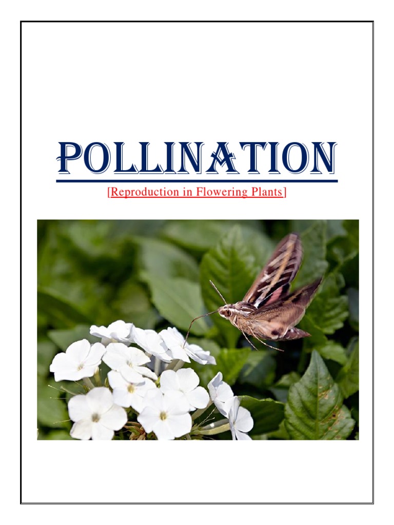 Pollination | PDF | Flowers | Pollination