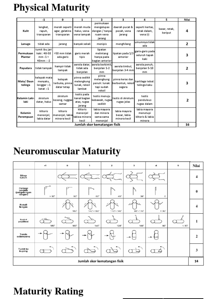 New Ballard Score | PDF