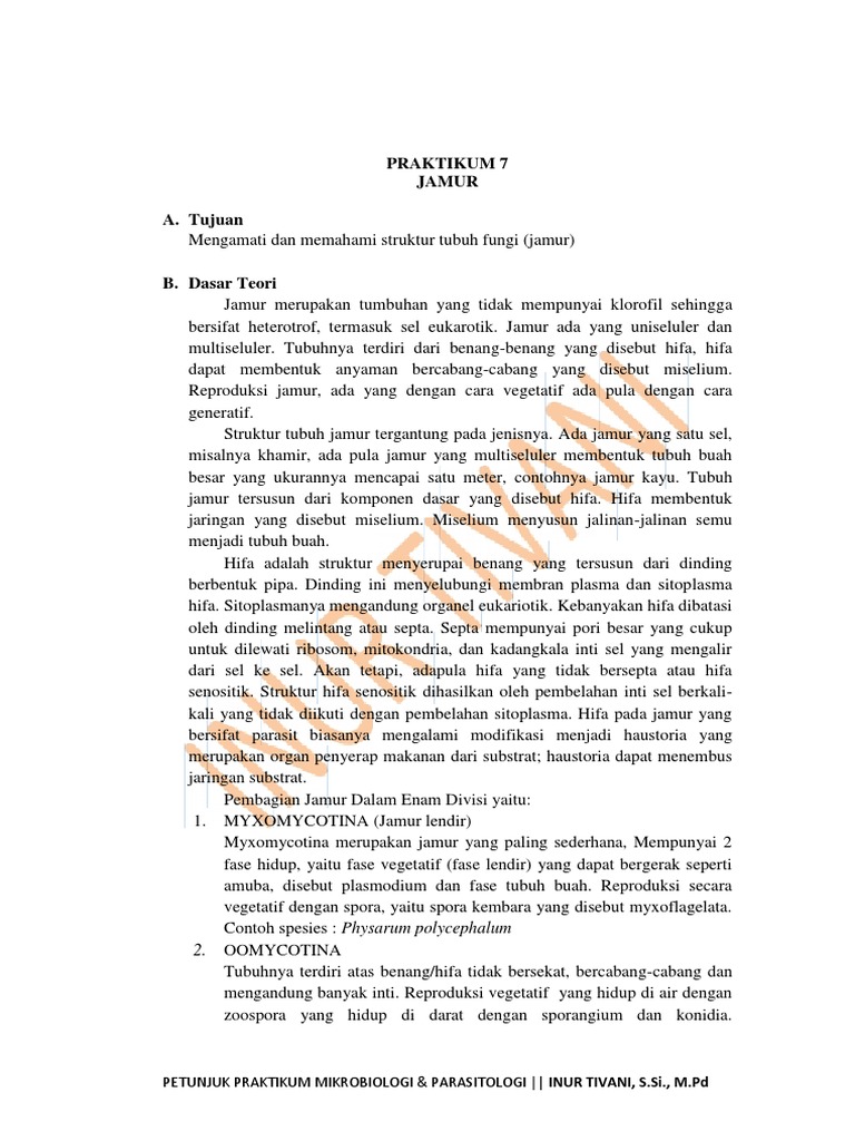 Modul 7-14 PDF | PDF