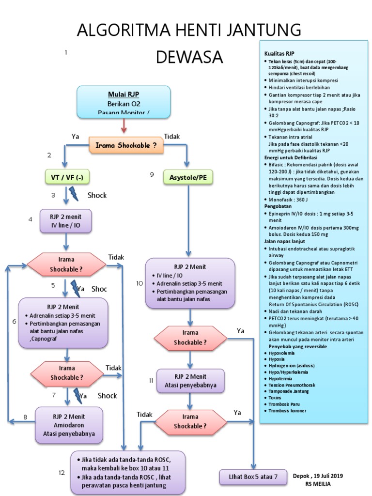 Algoritma Henti Jantung Dewasa | PDF