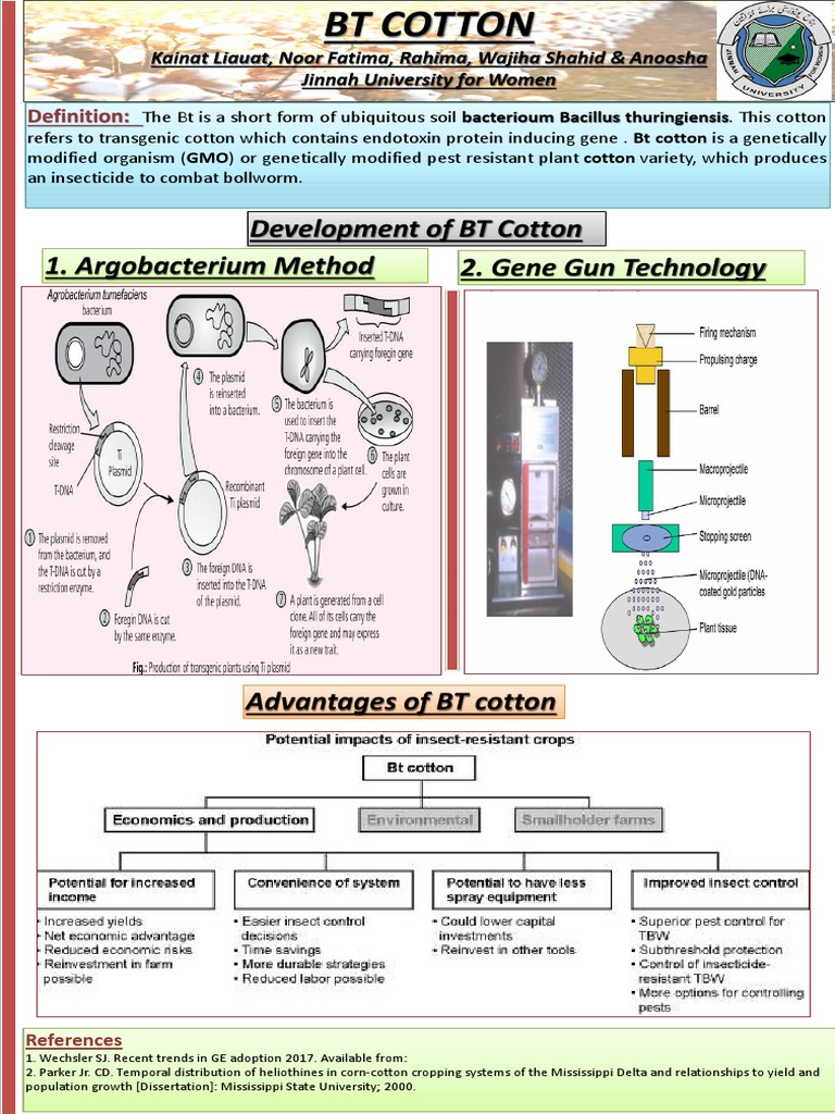 Overview of Bt Cotton Technology | PDF