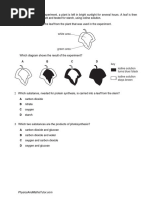 Dichotomous Key Practice Worksheets | PDF | Foreign Language Studies