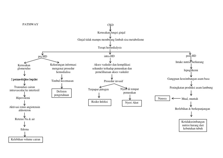 Pathway Penanganan CKD pada Hemodialisis | PDF