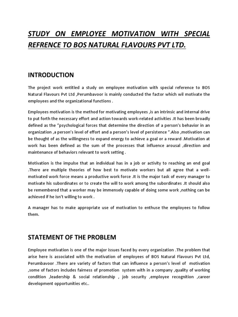 Employee Motivation | PDF | Motivation | Motivational