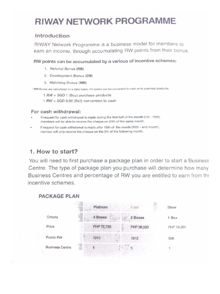 A - RIWAY Business Plan PDF | PDF