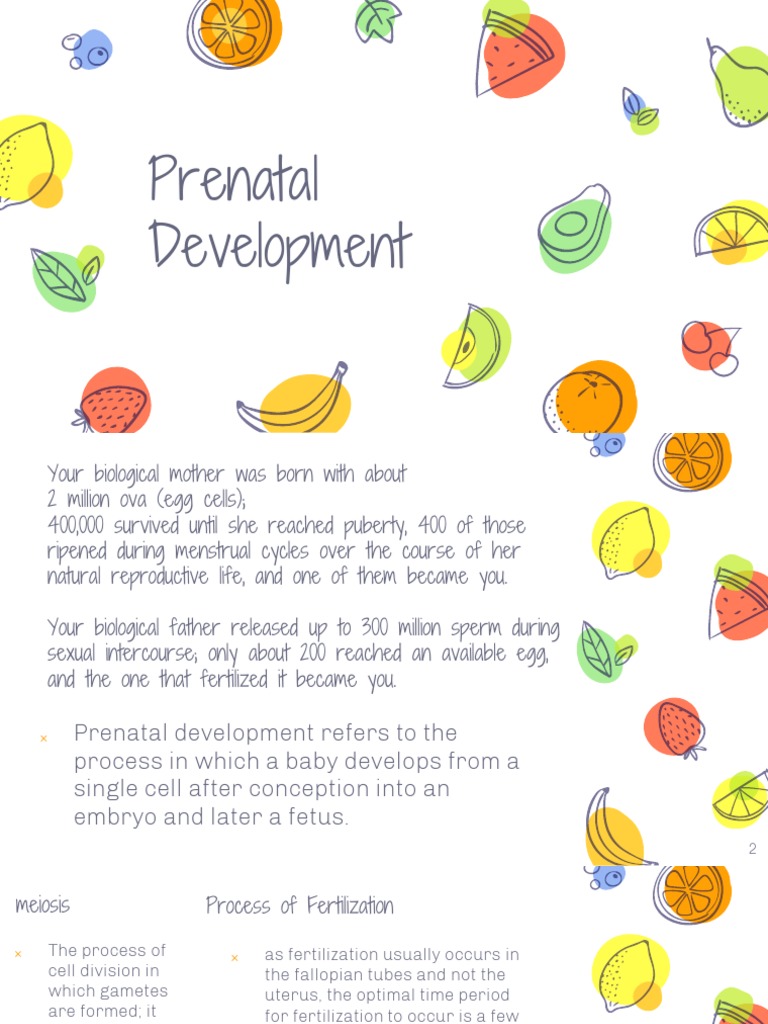 Prenatal Development (Child Psychology) | PDF | Fertilisation ...