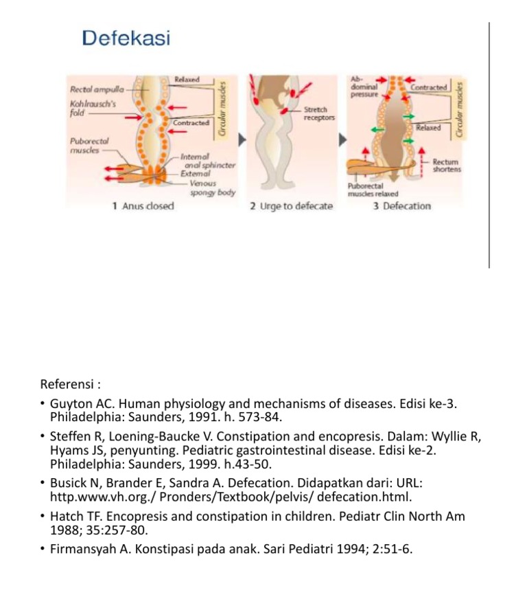 Fisiologi Defekasi | PDF
