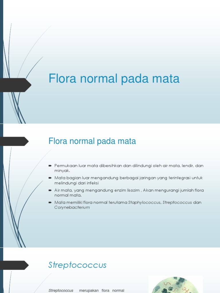 Flora Normal Pada Mata | PDF