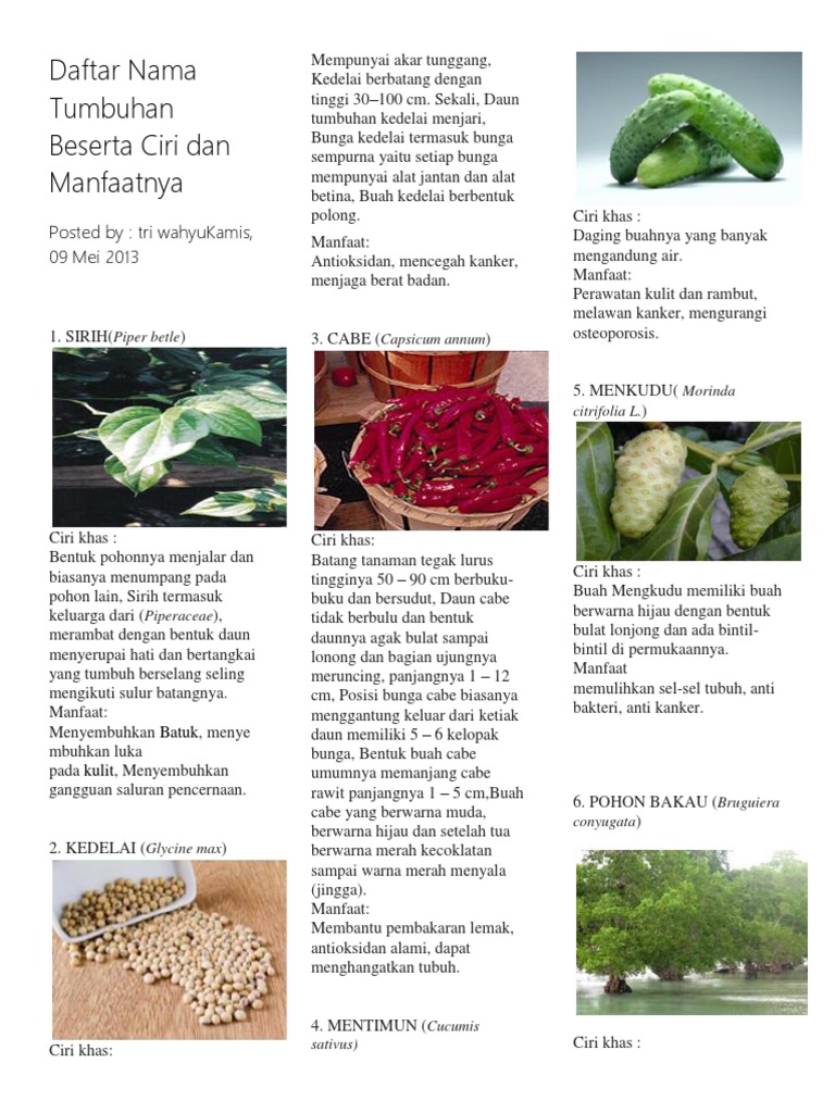 Daftar Nama Tumbuhan Beserta Ciri Dan Manfaatnya | PDF