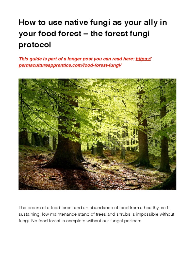 Forest Fungi PDF | PDF | Fungus | Soil
