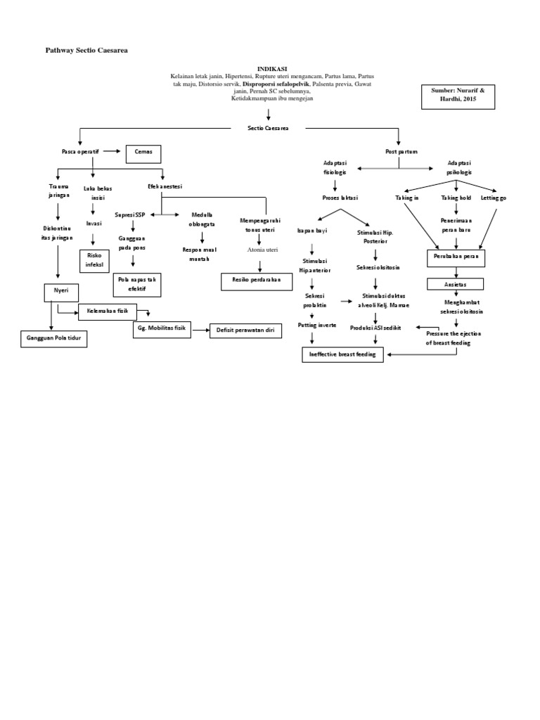 Pathway Sectio Caesarea | PDF