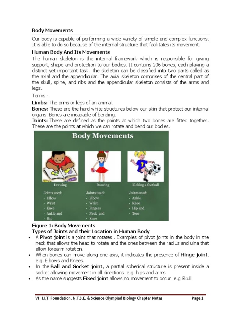 Body Movements | PDF | Skeleton | Joint
