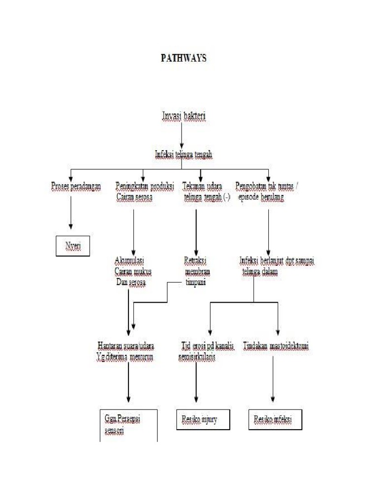 Pathway Otitis | PDF