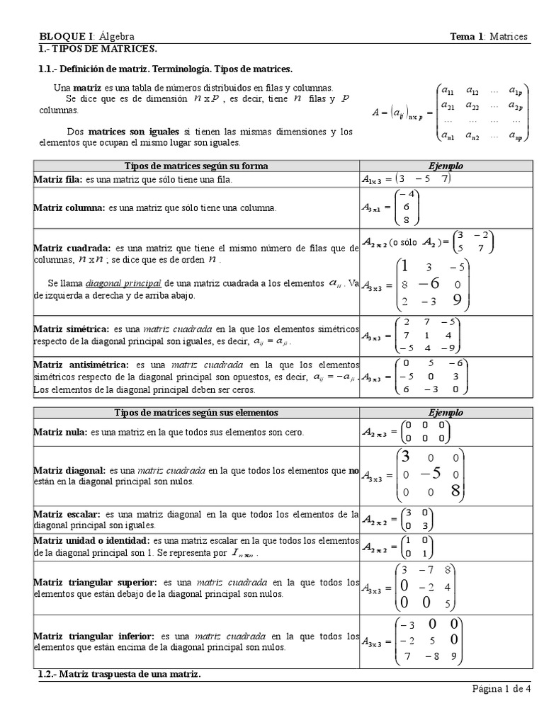 Matrices | PDF | Matriz (Matemáticas) | Teoría del operador